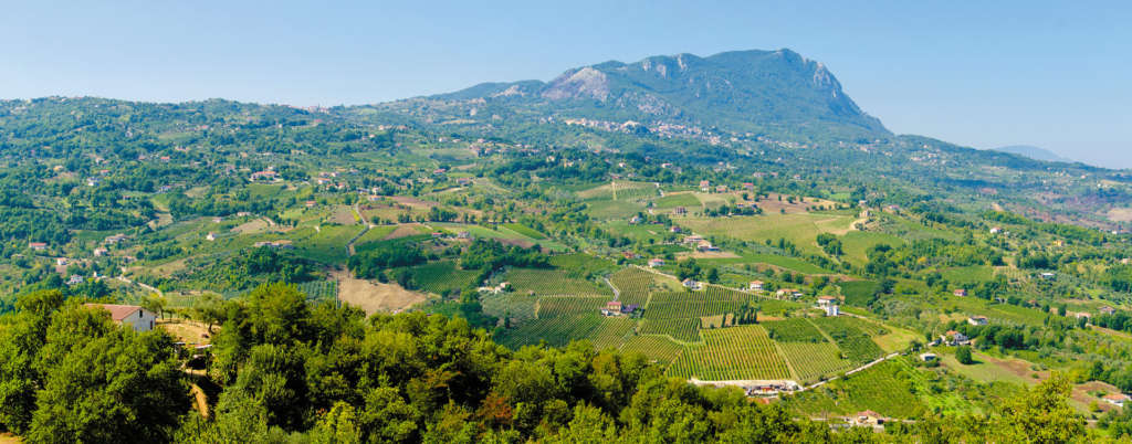 Areale - Salvatore Molettieri